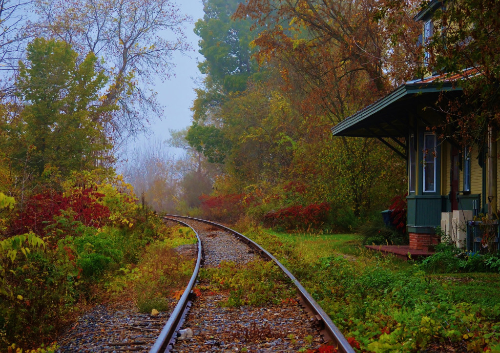 OUR STAFF – Oxbow Vet Clinic